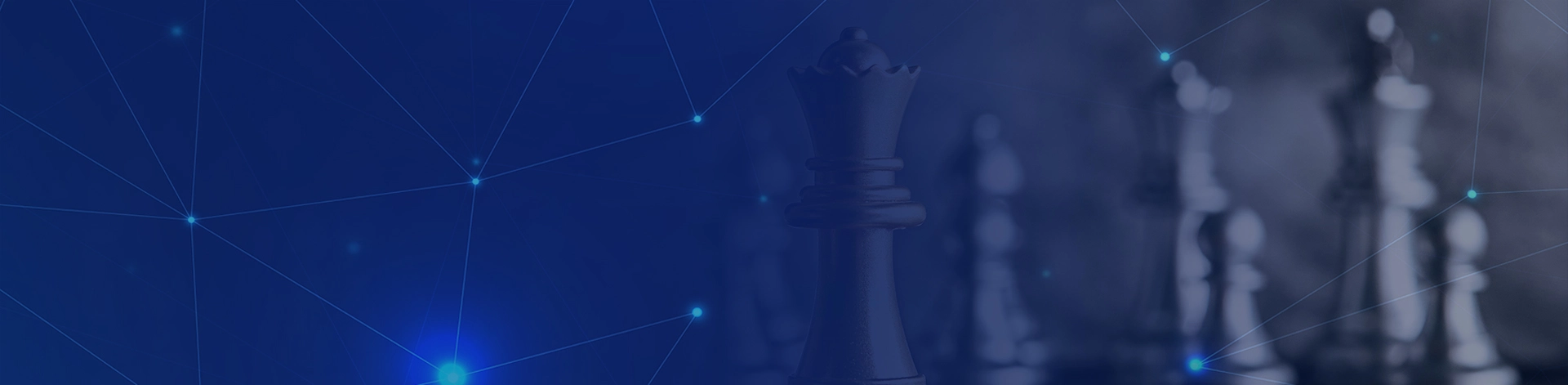 Meet the leadership team of Cogneesol